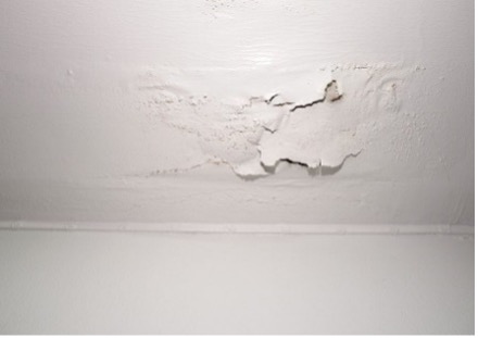 Debevoise Discusses Use of AI-Generated Images for Fake Insurance ...